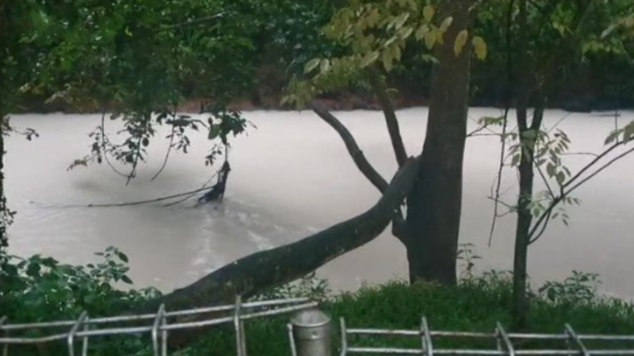 7 Fakta Sungai Cisadane Tercemar Pestisida Imbas Kebakaran Gudang Kimia ...
