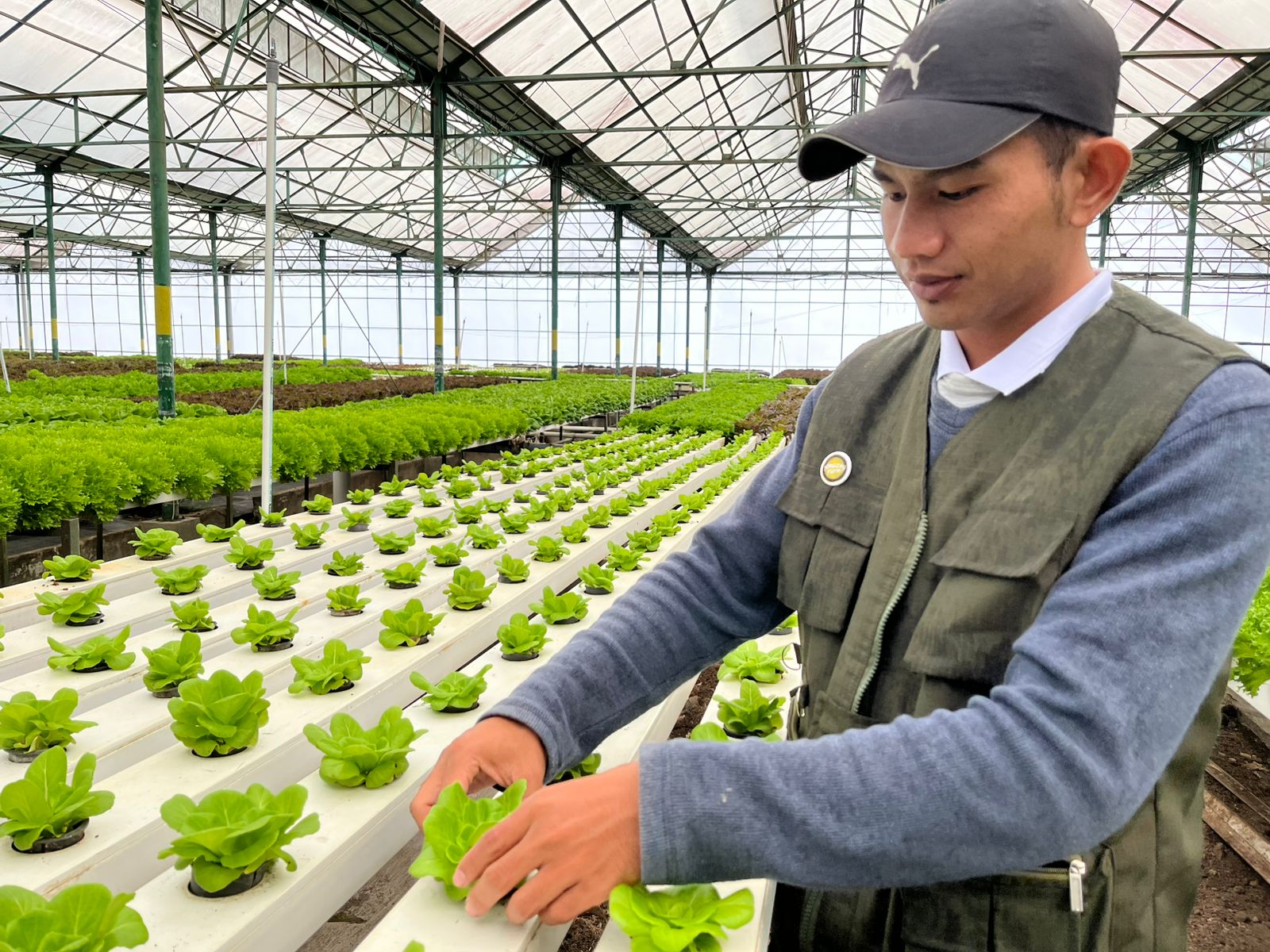 Dengan Teknologi, Petani Modern saat Ini Punya Peluang Lebih Menguntungkan
