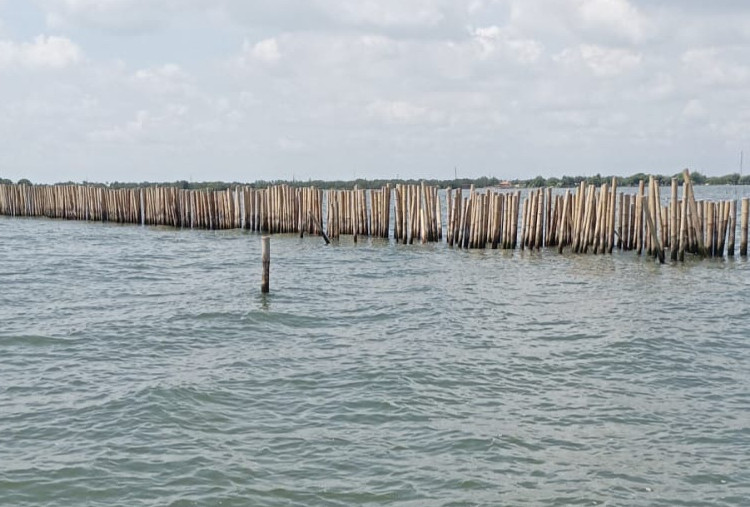 Kejagung Minta Kortas Tipikor Bareskrim Ikut Usut Kasus Dugaan Korupsi Pagar Laut