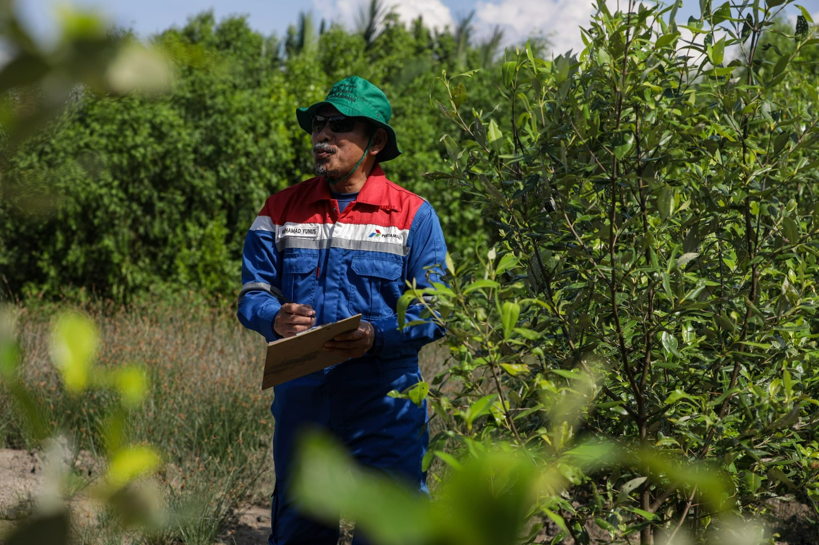 Komitmen Jaga Lingkungan, Kilang Pertamina Tanam Lebih dari 135 Ribu Pohon Sepanjang 2024