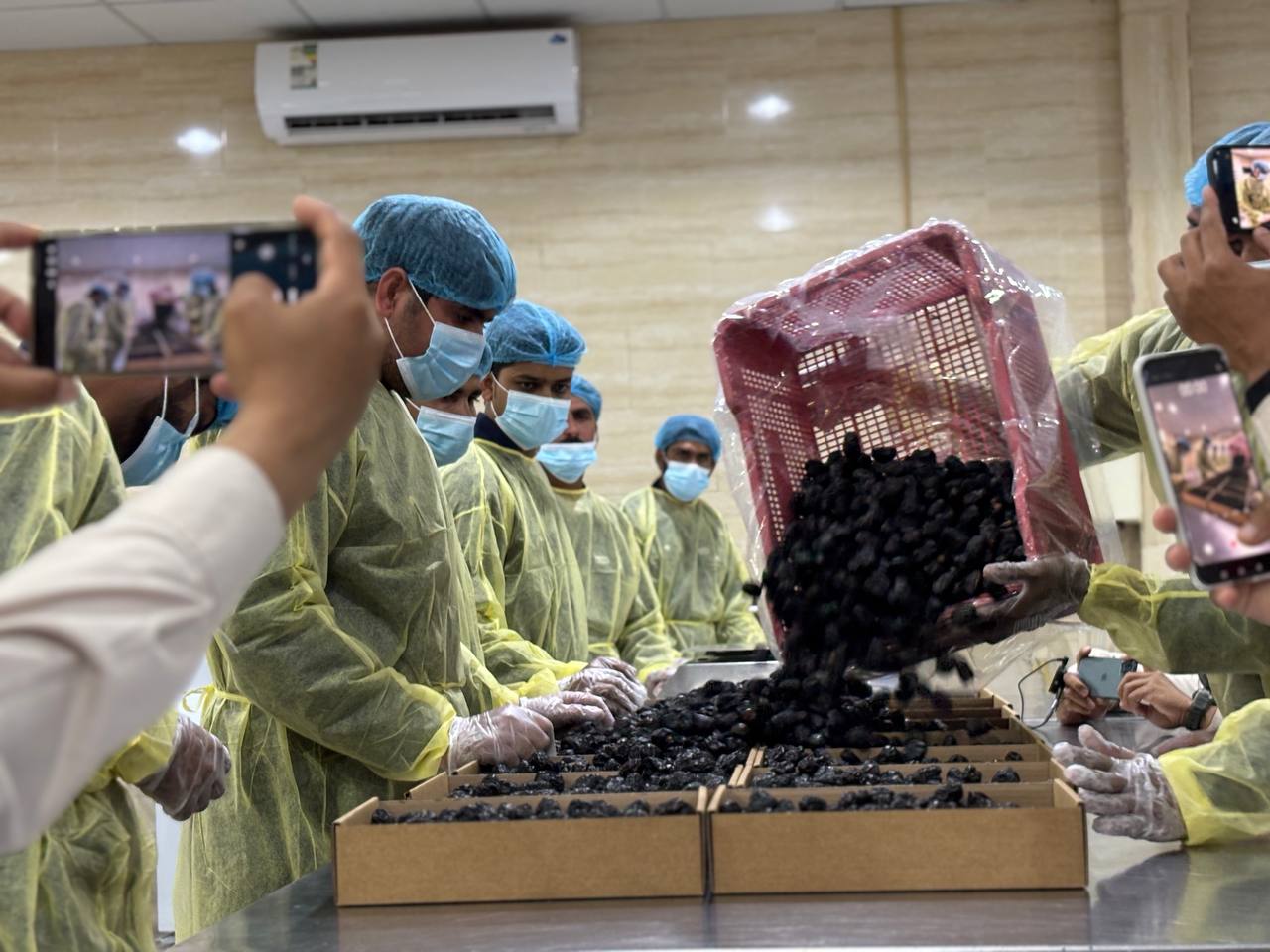 Castle Farms Madinah, Pemasok Kurma Ajwa Terbesar ke Berbagai Negara