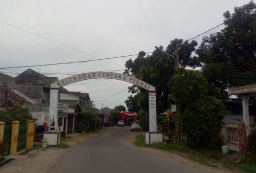 Referensi Untuk Semua