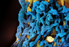 Airlangga Bantah Indonesia Terancam Sanksi Tambahan Tarif Trump 10% ...