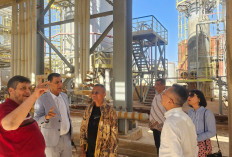 Tersebar! Link Film Dewasa Rumah Produksi di Jaksel, Ada 32 Film Termasuk Kramat Tunggak yang ...