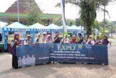 Pemain Sirkus OCI Taman Safari Ungkap Ketakutan Jika Latihan dengan ...