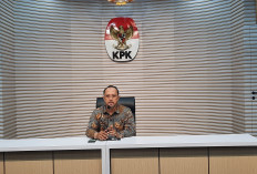 Grand Opening HW Tiger Basra Surabaya Bakal Dimeriahkan Sejumlah Artis ...